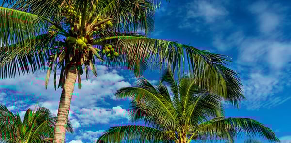 ¿Dónde invertir en Mérida Yucatán? Conoce las zonas de mayor plusvalía